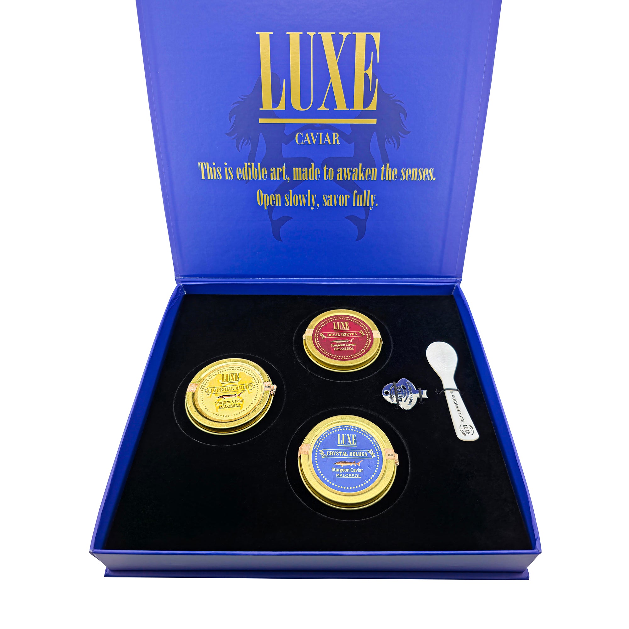CAVIAR PLATINUM COLLECTION GIFT SET – LUXE CAVIAR